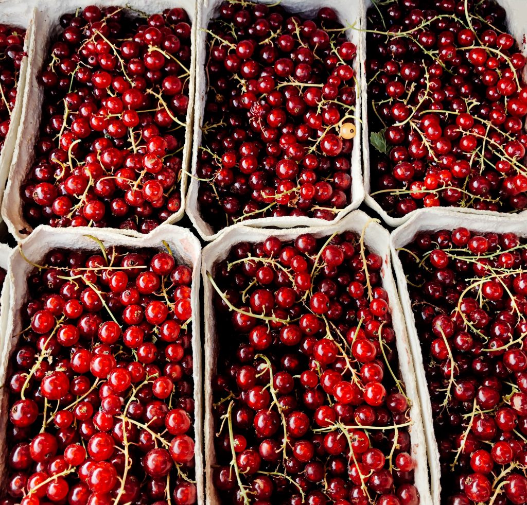 Johannisbeer-Himbeer-Galette-mit-EisIMG_9142 - HOUSE NO 44